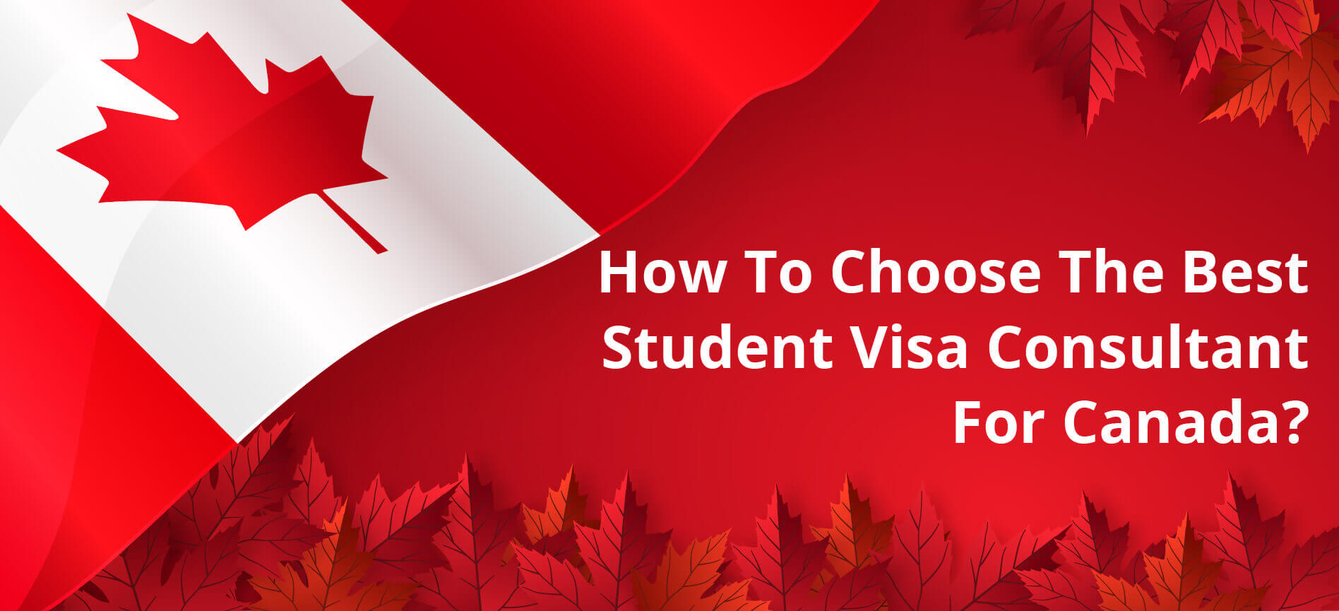 How To Choose The Best Student Visa Consultant For Canada Edge How To Choose The Best Student Visa Consultant For Canada Edge